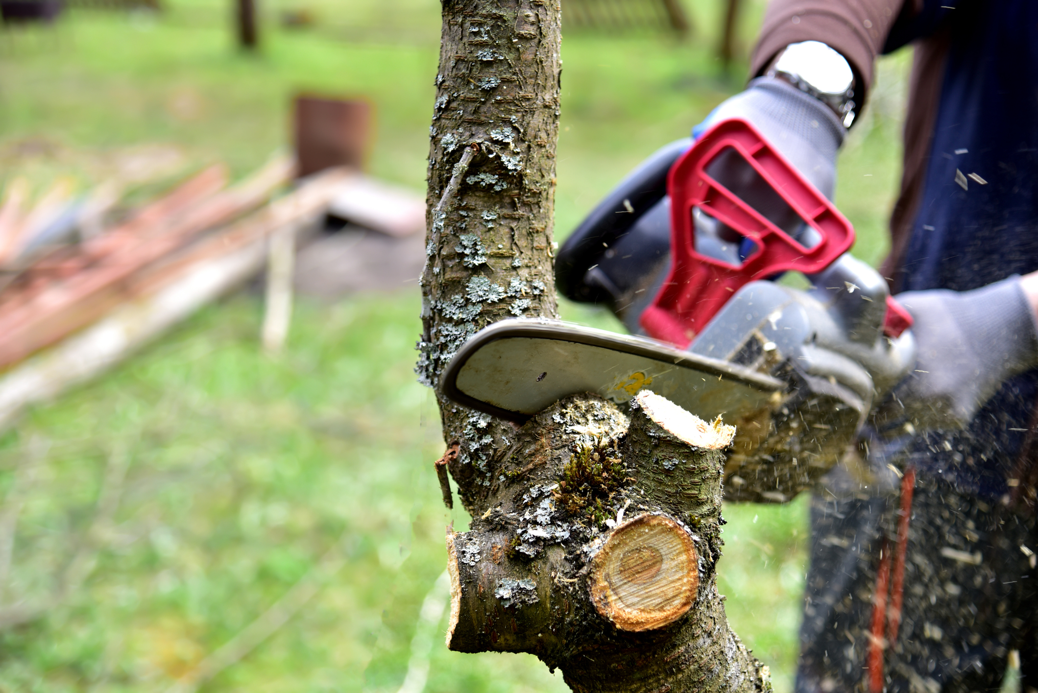 Storm Damage Recovery: How a Tree Cutting Company Can Help