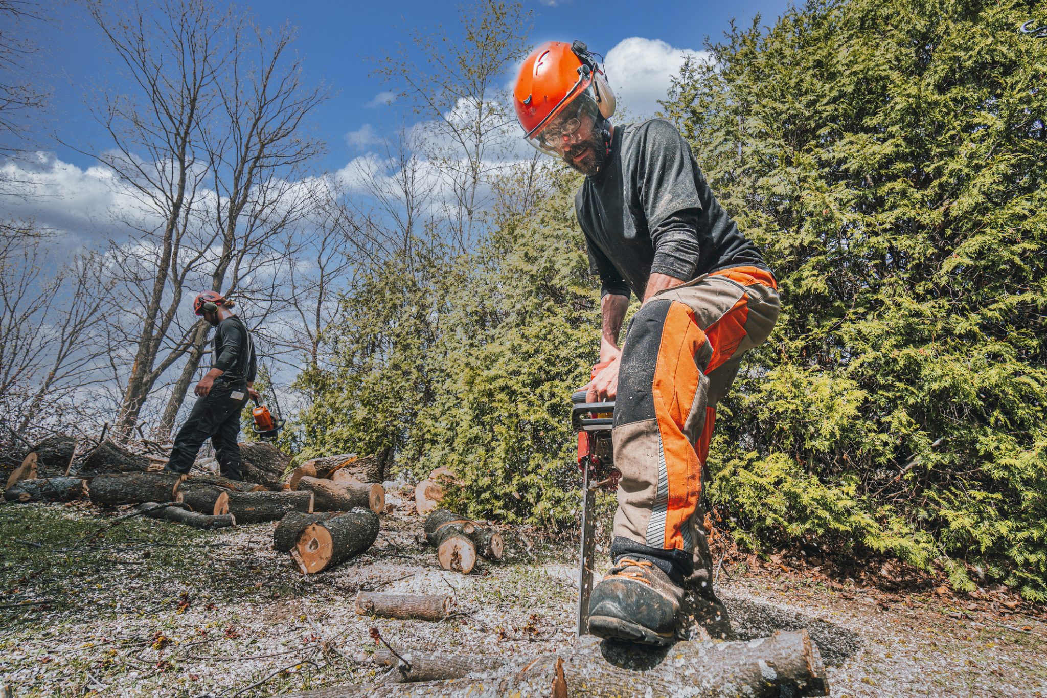 The Importance of Tree Removal Permits and Regulations